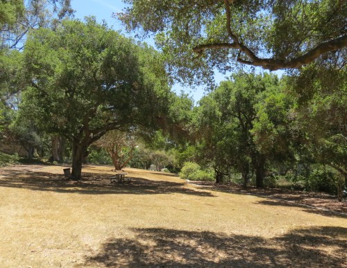 Trail Quest: Orpet and Franceschi Parks | Songs of the Wilderness