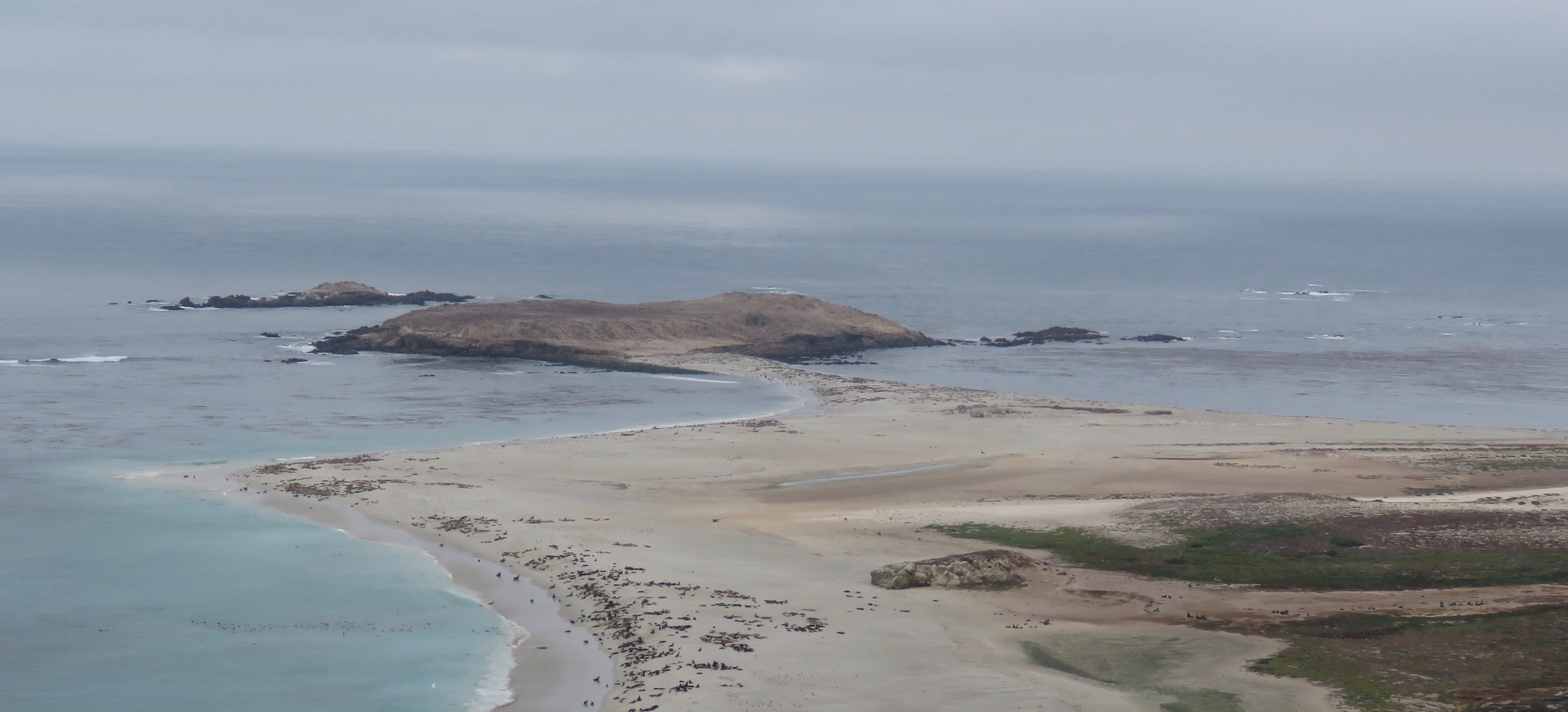 Trail Quest: Point Bennett, San Miguel Island | Songs of the Wilderness